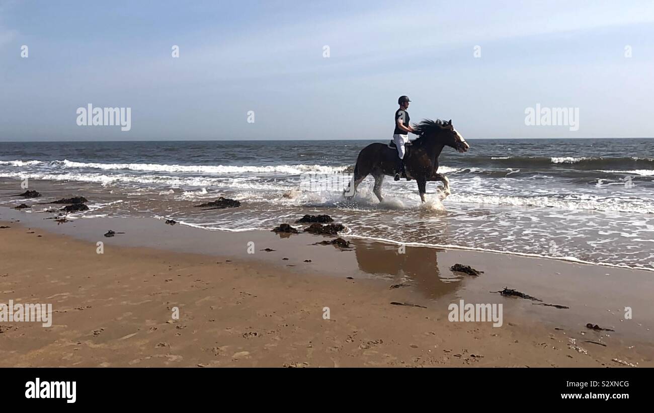 Reiter und pferd am strand -Fotos und -Bildmaterial in hoher Auflösung – Alamy