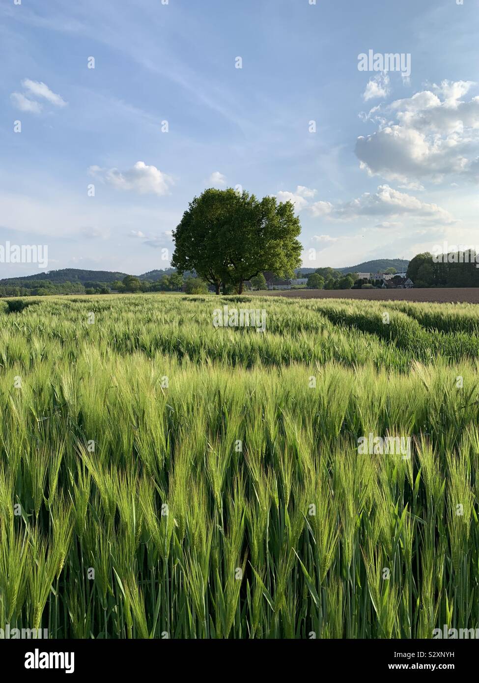 Die deutsche landschaft -Fotos und -Bildmaterial in hoher Auflösung – Alamy