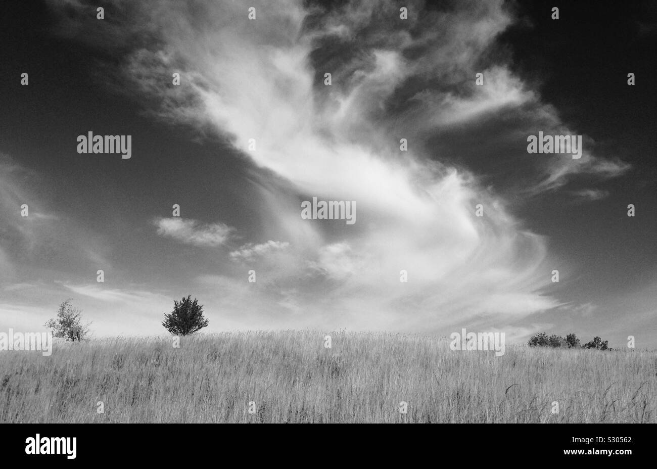 Praerie sky -Fotos und -Bildmaterial in hoher Auflösung – Alamy