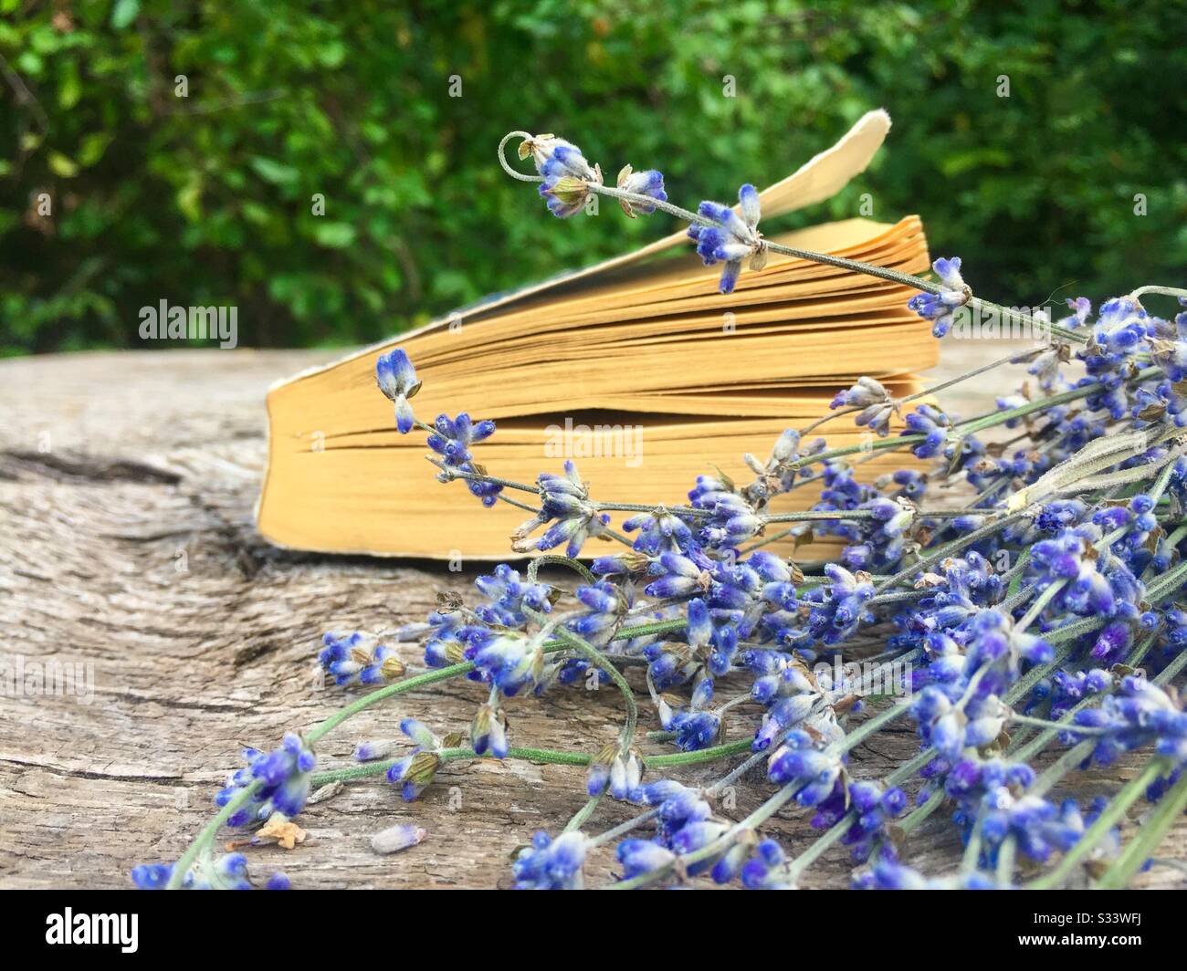 Buchseiten mit blumen -Fotos und -Bildmaterial in hoher Auflösung – Alamy