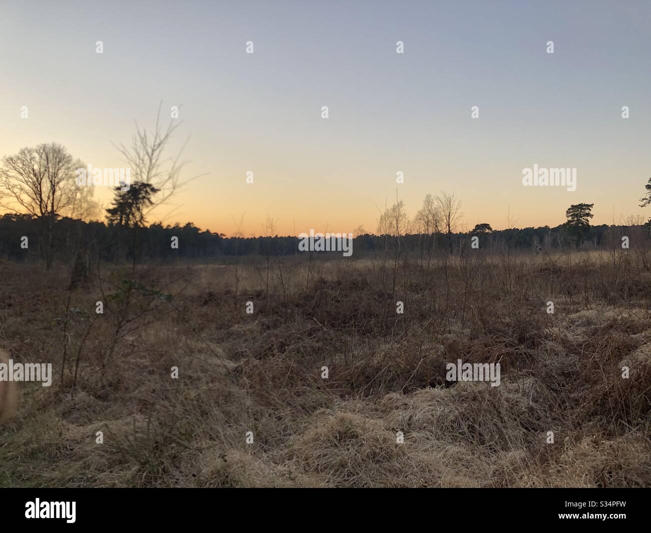 Ockham -Fotos und -Bildmaterial in hoher Auflösung – Alamy