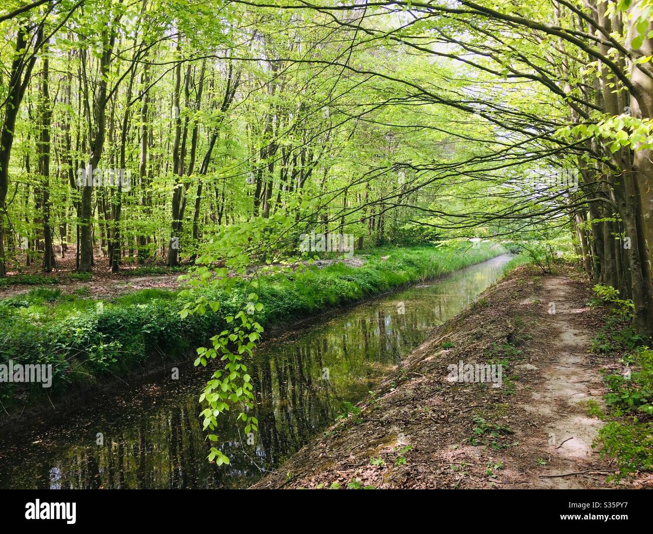Ruhe am kanal -Fotos und -Bildmaterial in hoher Auflösung – Alamy