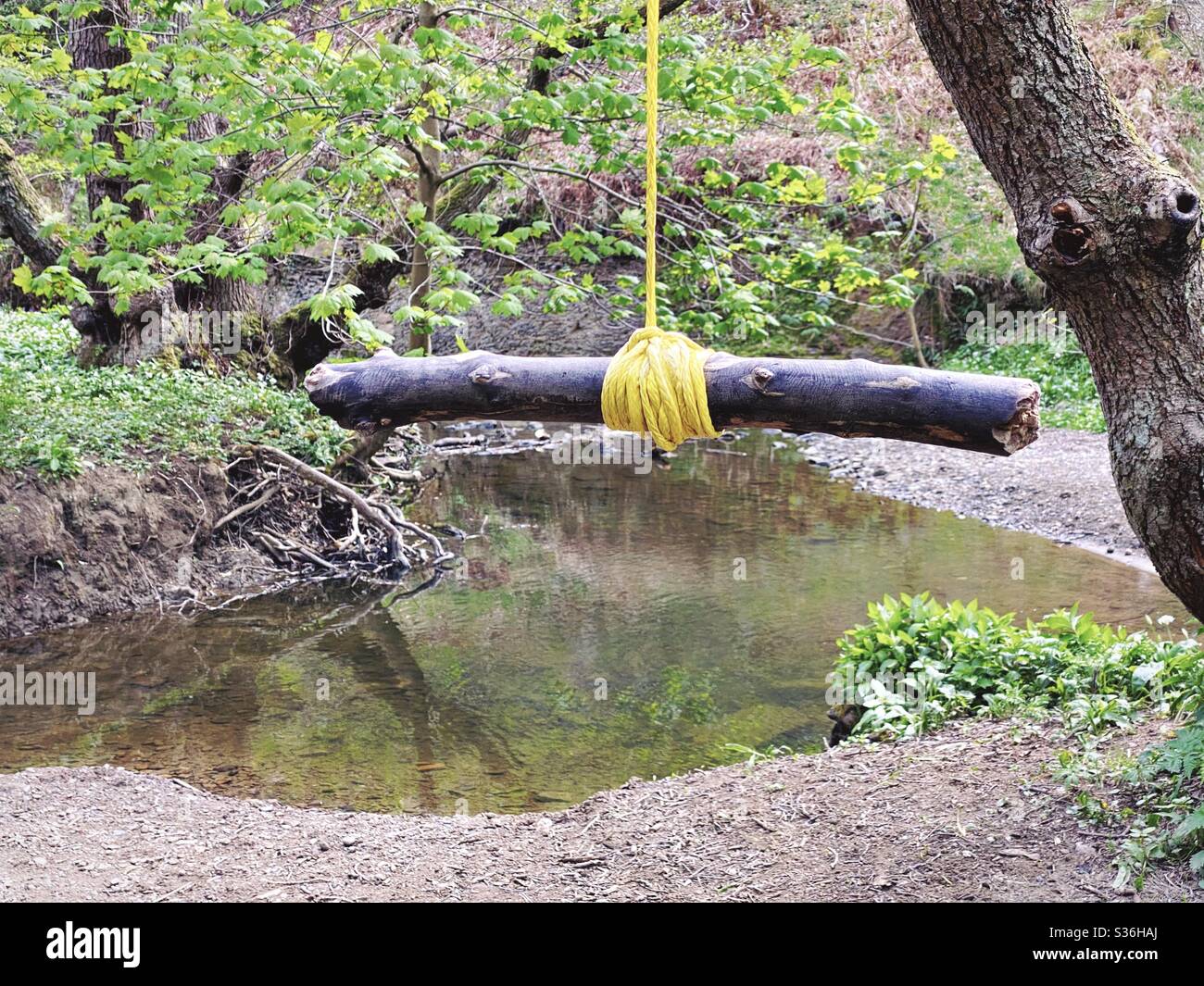 Rope Swing Hanging From Tree Stockfotos und -bilder Kaufen - Alamy