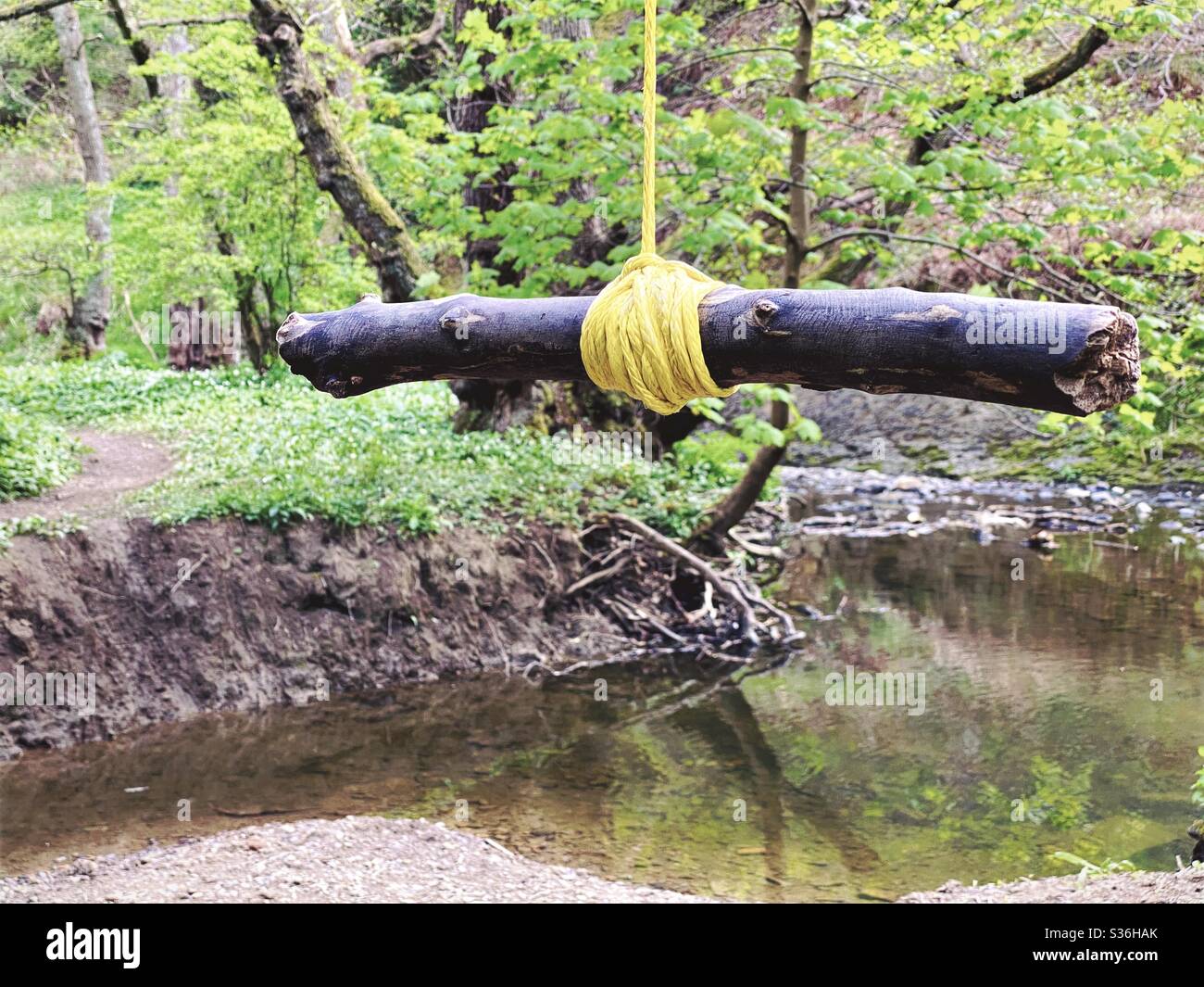 Rope Swing Hanging From Tree Stockfotos und -bilder Kaufen - Alamy
