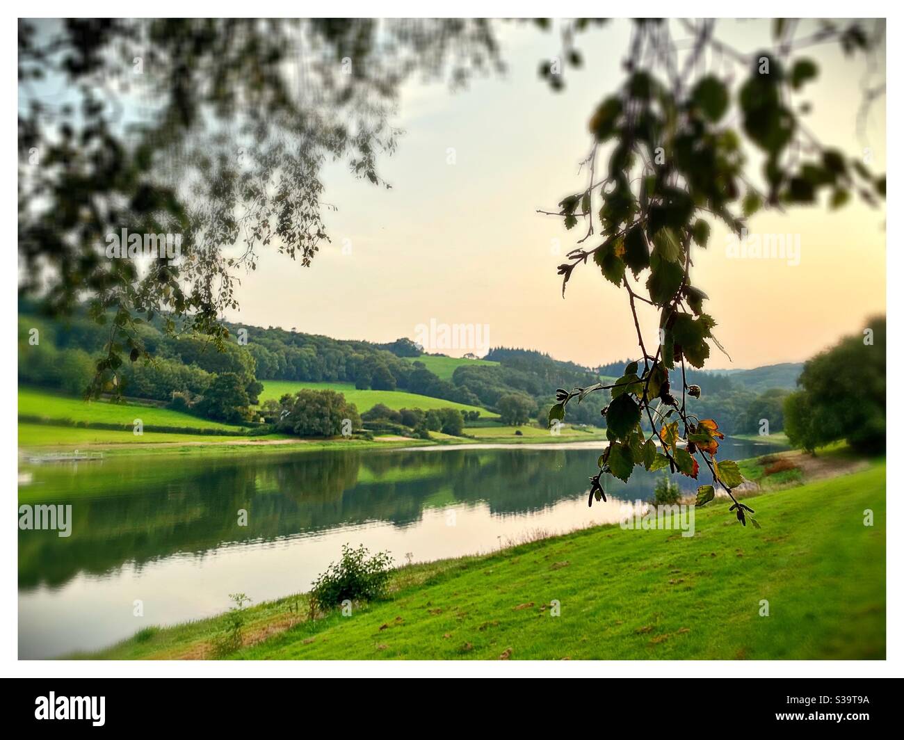 Hawkridge reservoir -Fotos und -Bildmaterial in hoher Auflösung – Alamy