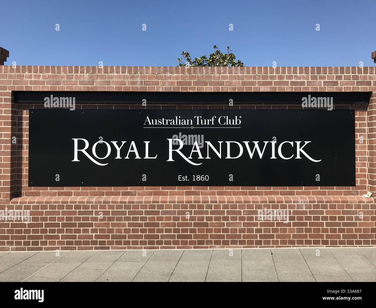 Royal turf club -Fotos und -Bildmaterial in hoher Auflösung – Alamy
