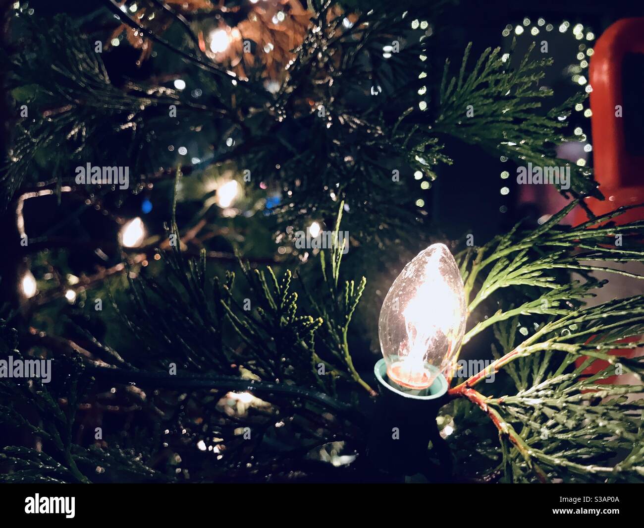 Weihnachten heiligabend -Fotos und -Bildmaterial in hoher Auflösung – Alamy