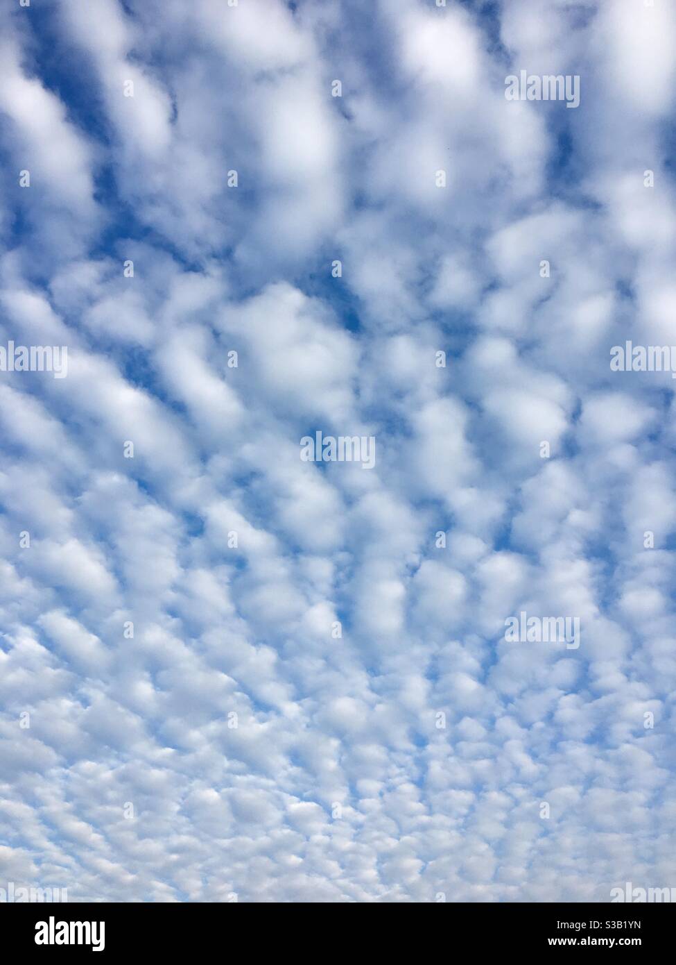 Wellige wolken -Fotos und -Bildmaterial in hoher Auflösung – Alamy