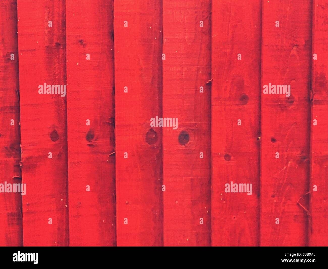 Leuchtend rot karmesinrot scharlachrot -Fotos und -Bildmaterial in ...