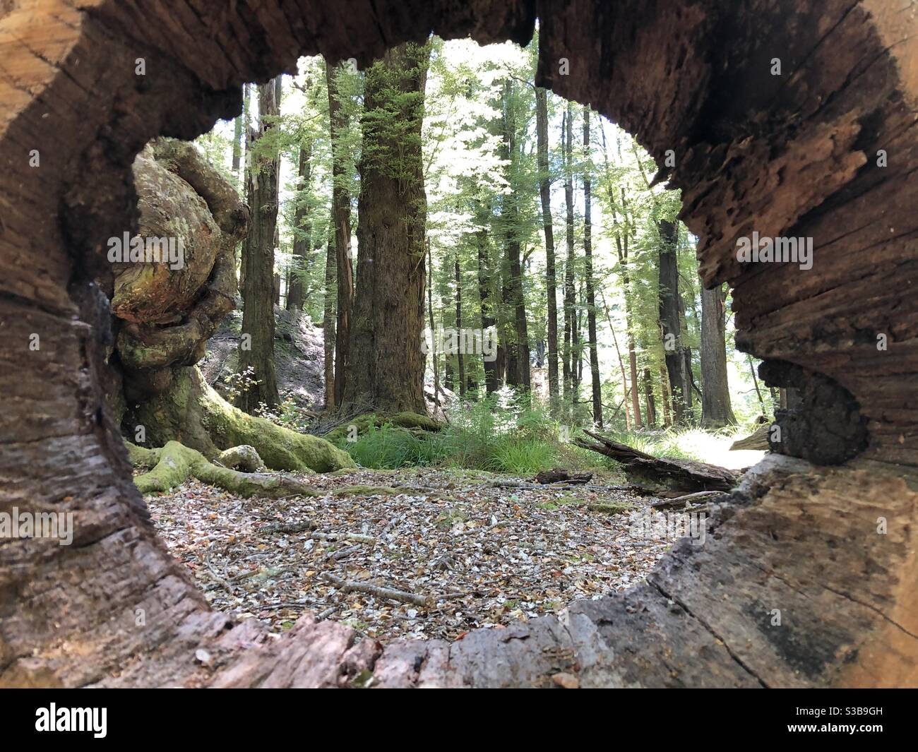 Loch voraus -Fotos und -Bildmaterial in hoher Auflösung – Alamy