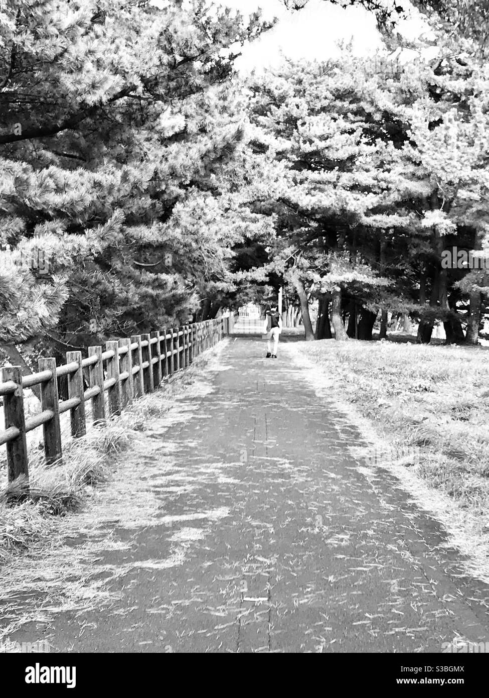 Alleine lernen -Fotos und -Bildmaterial in hoher Auflösung – Alamy