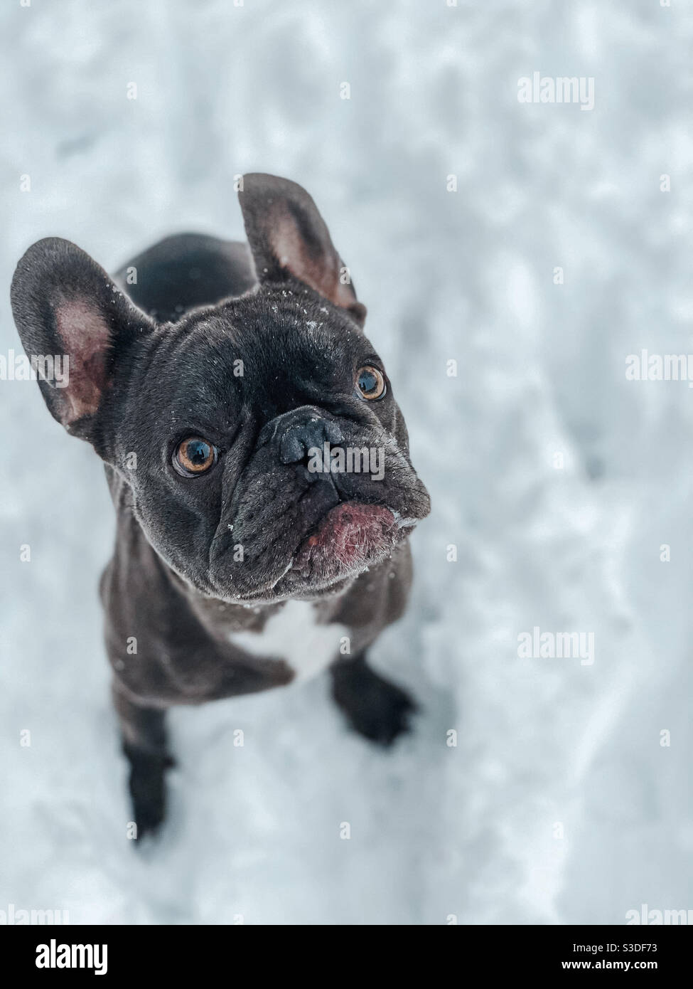 Kleiner oakley -Fotos und -Bildmaterial in hoher Auflösung – Alamy