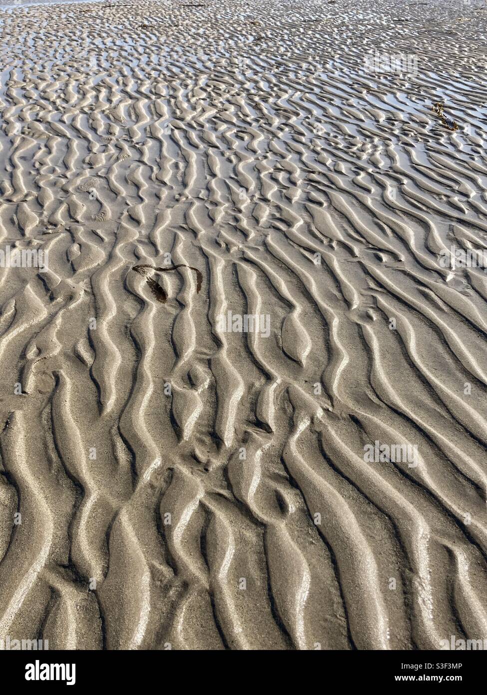 Nasse Muster Im Sand Fotos Und Bildmaterial In Hoher Auflösung Alamy