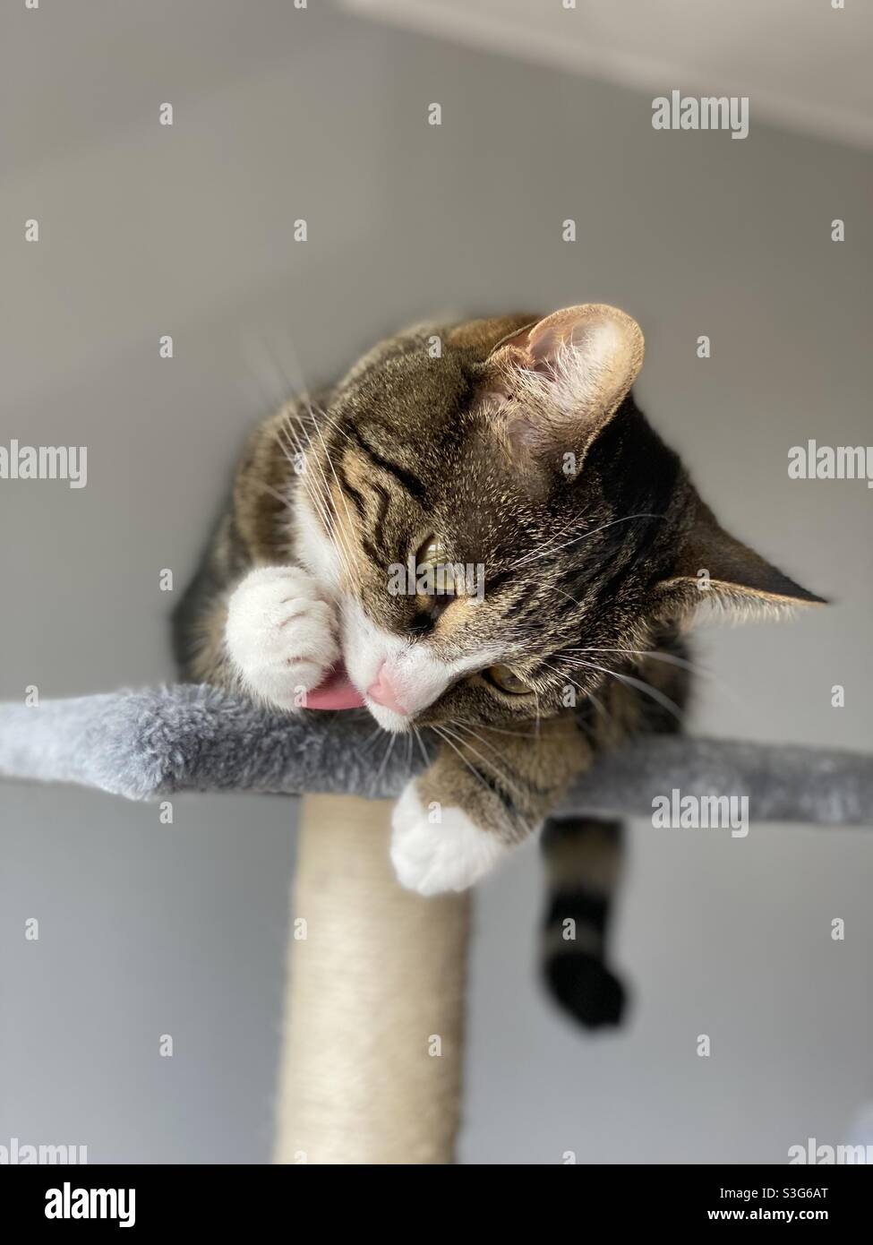 Chillen zuhause -Fotos und -Bildmaterial in hoher Auflösung – Alamy