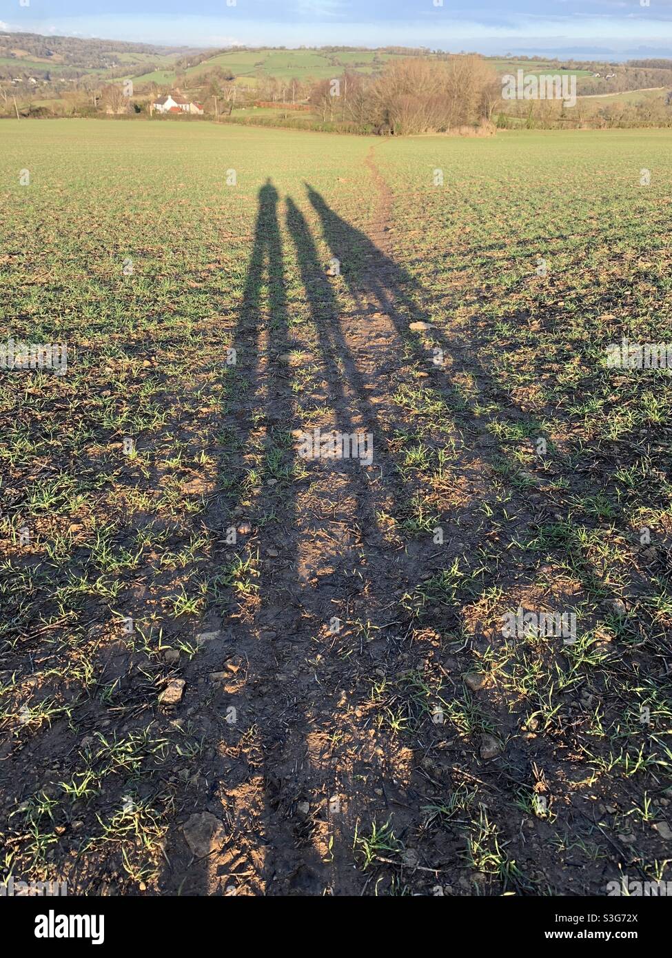 Lange abendschatten -Fotos und -Bildmaterial in hoher Auflösung – Alamy