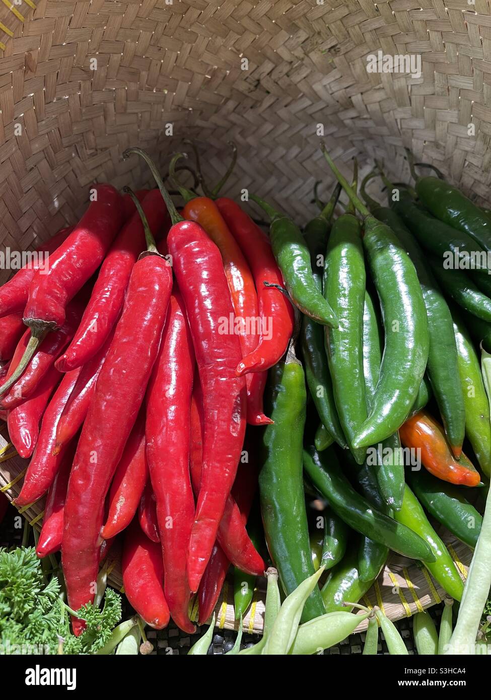 Grüne chillis -Fotos und -Bildmaterial in hoher Auflösung – Alamy