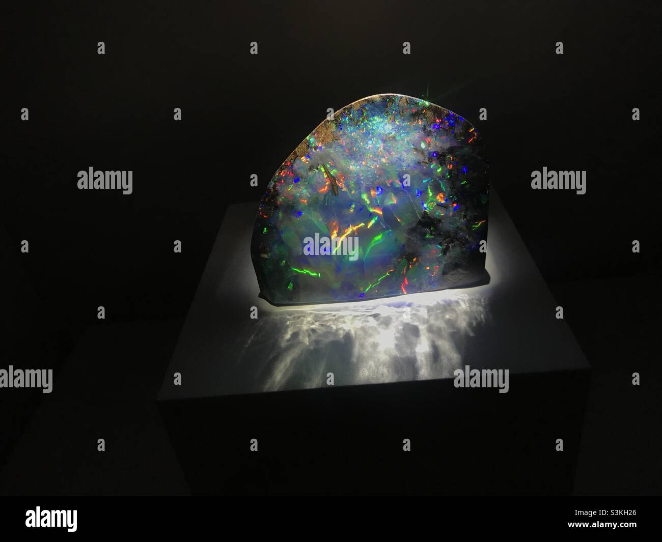 Black opal -Fotos und -Bildmaterial in hoher Auflösung – Alamy