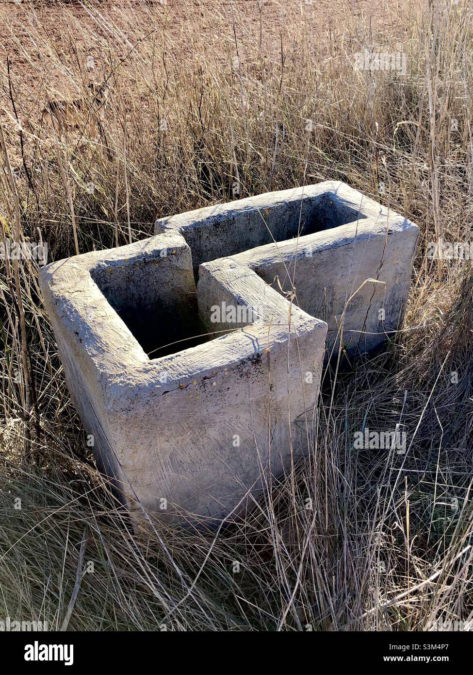 Beton mit gras -Fotos und -Bildmaterial in hoher Auflösung – Alamy