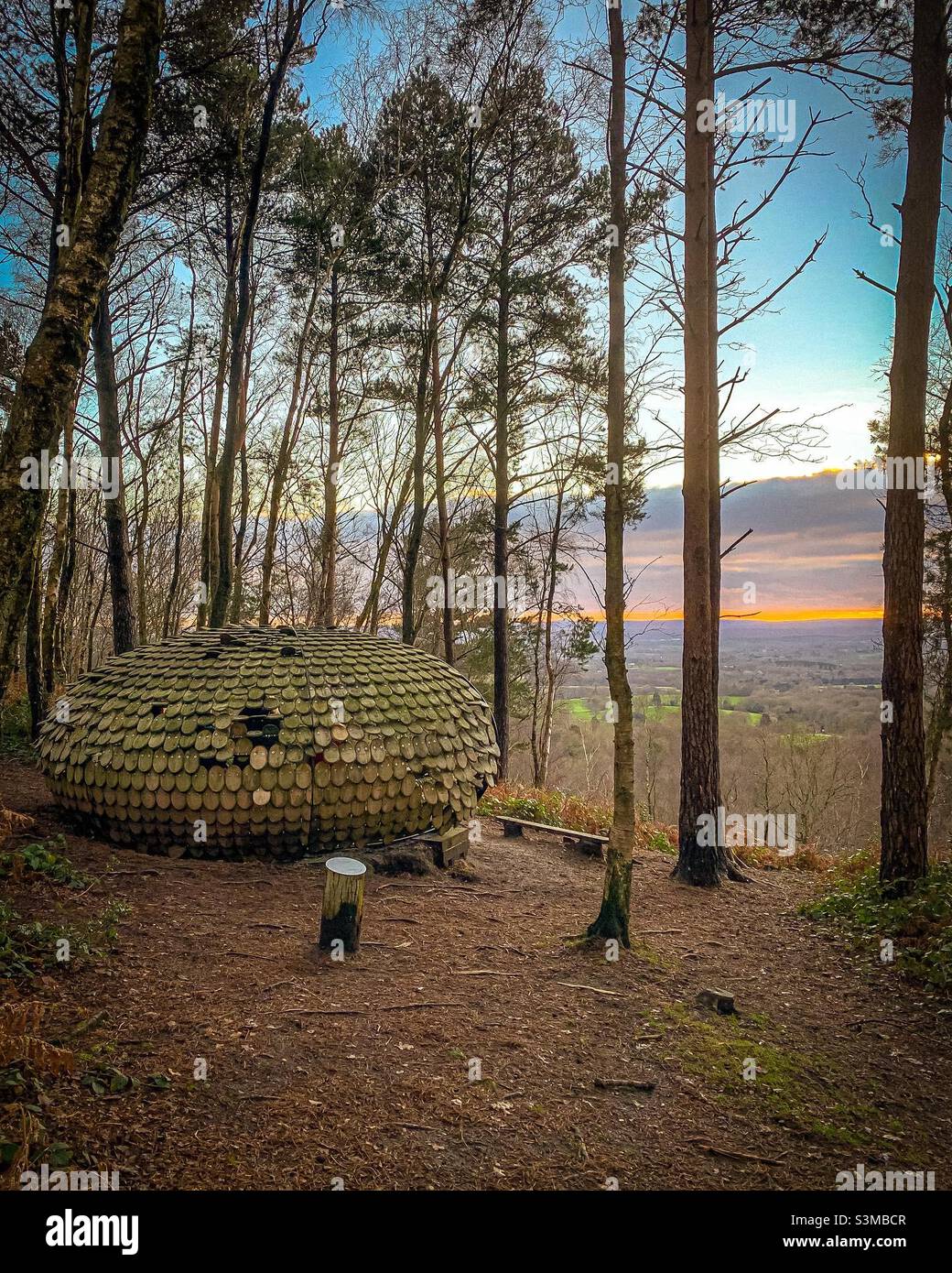 Winterfalter -Fotos und -Bildmaterial in hoher Auflösung – Alamy