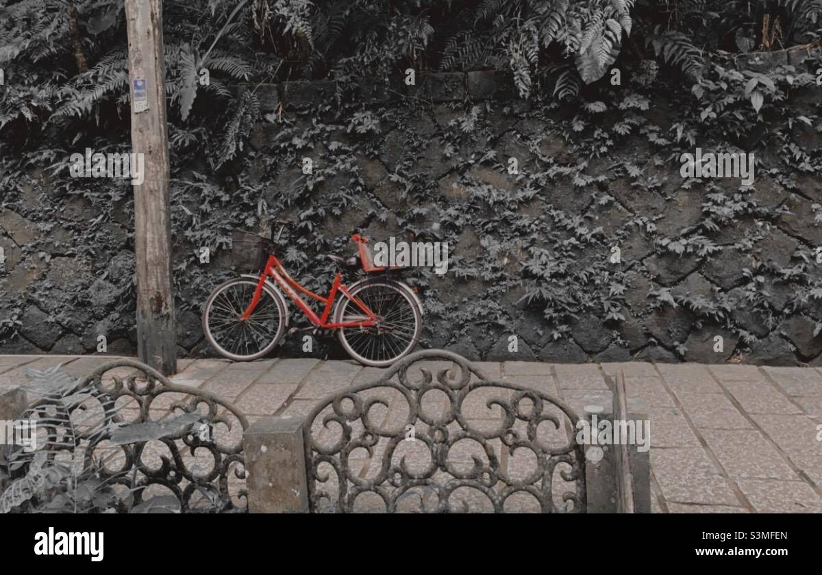 Wichtige person -Fotos und -Bildmaterial in hoher Auflösung – Alamy