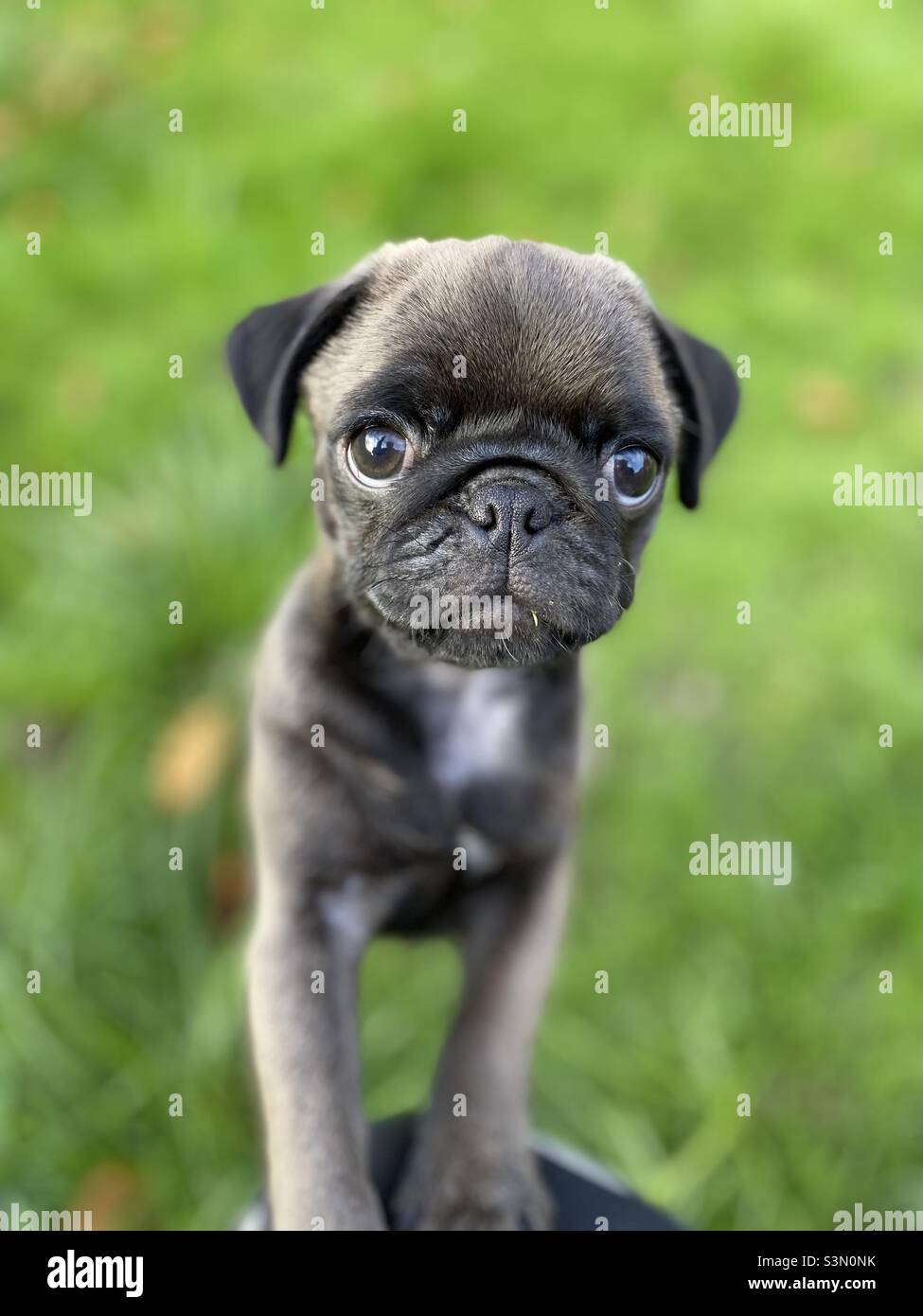 Freche Pose Fotos Und Bildmaterial In Hoher Auflösung Alamy 0532