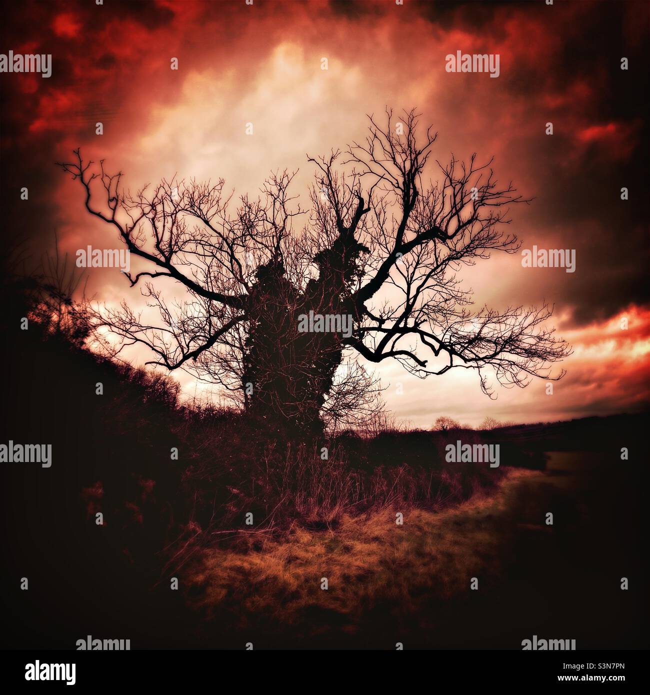 Blood red sky -Fotos und -Bildmaterial in hoher Auflösung – Alamy