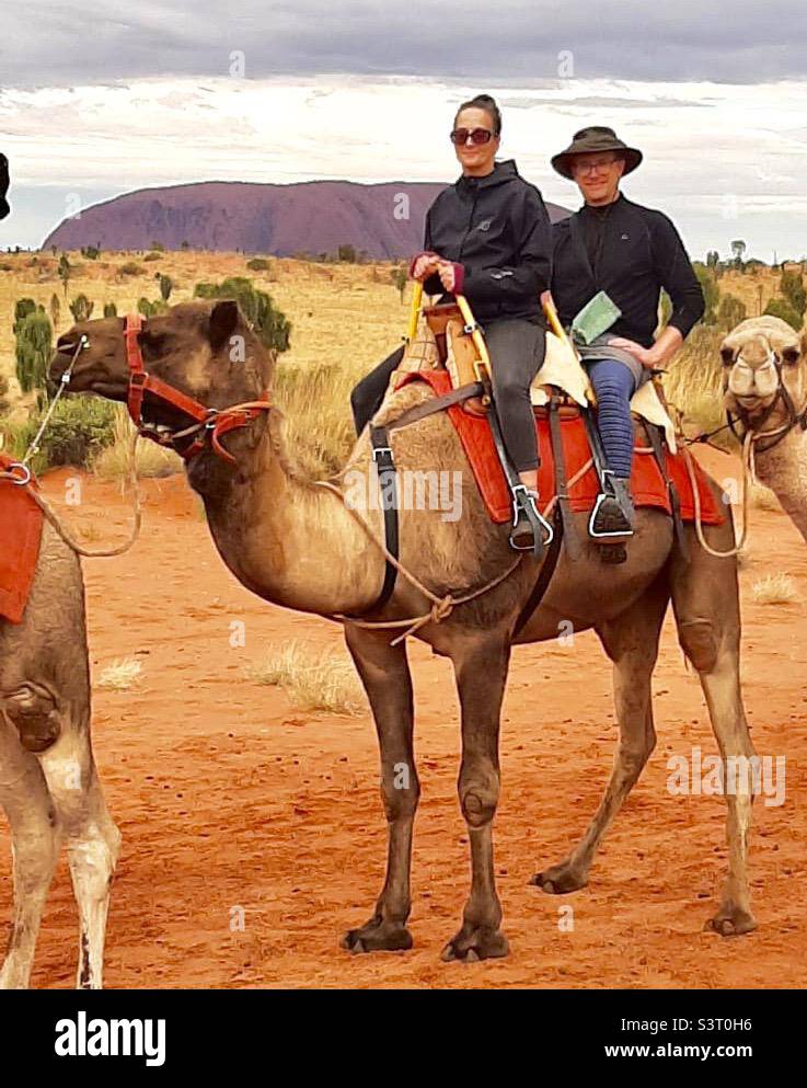 Uluru australia camel -Fotos und -Bildmaterial in hoher Auflösung – Alamy
