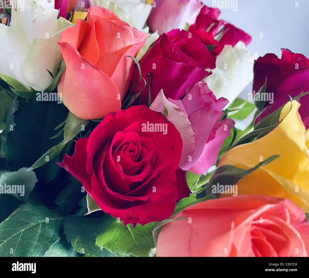 Blumenstrau rosen -Fotos und -Bildmaterial in hoher Auflösung – Alamy