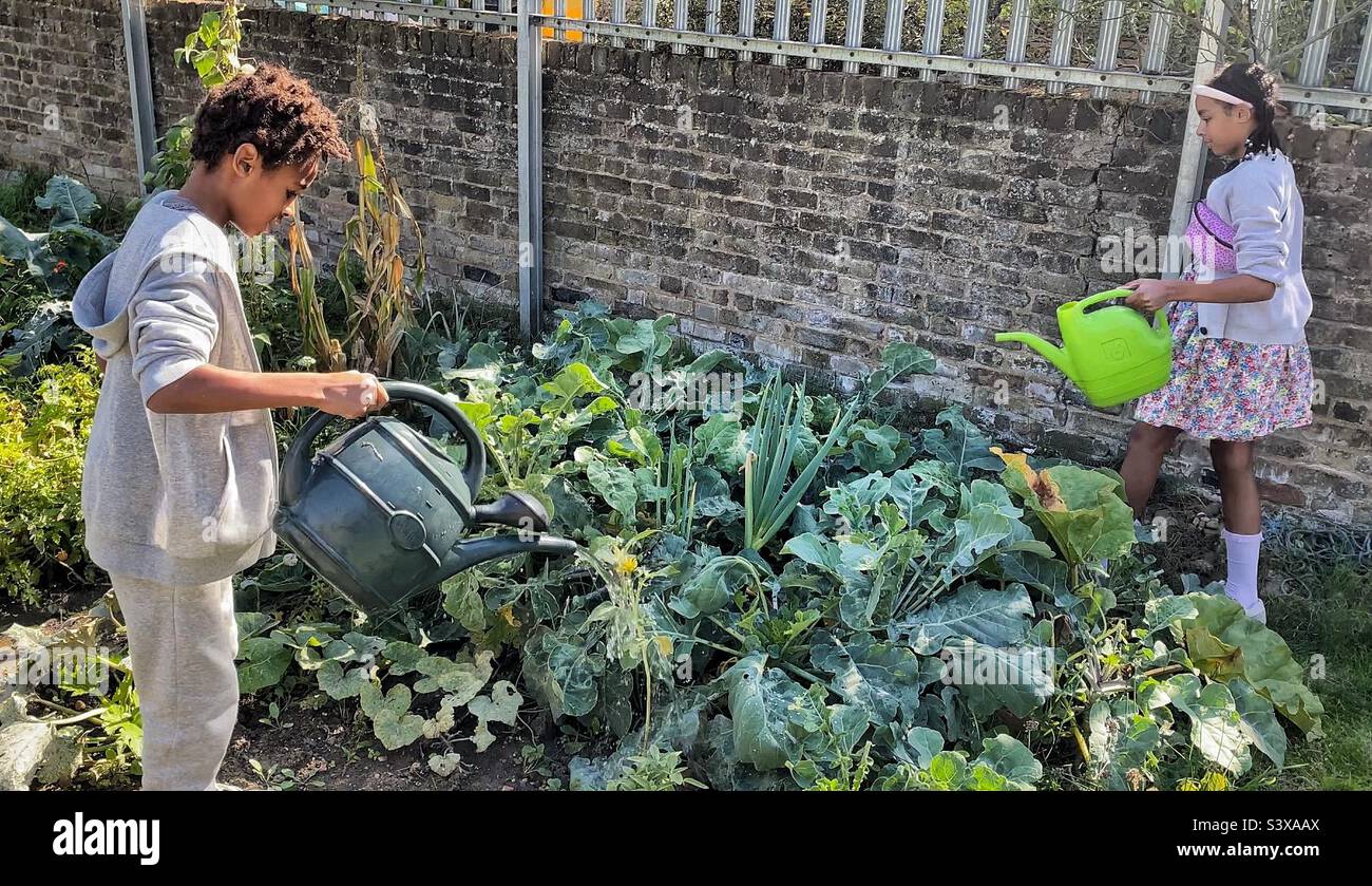 Children watering garden -Fotos und -Bildmaterial in hoher Auflösung – Alamy