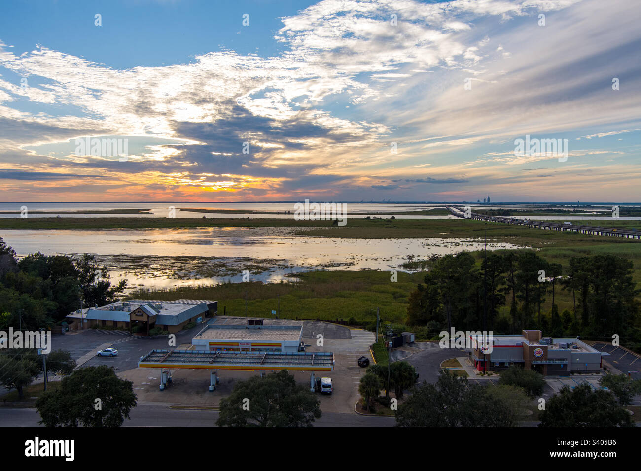 Daphne alabama -Fotos und -Bildmaterial in hoher Auflösung – Alamy