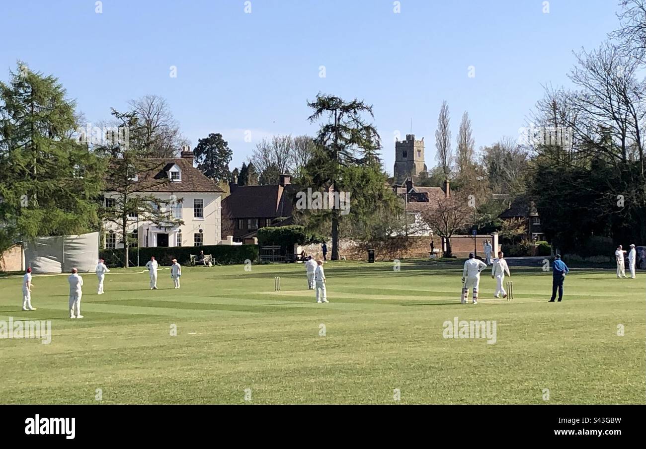 Cricket dorfgrille bearsted -Fotos und -Bildmaterial in hoher Auflösung – Alamy