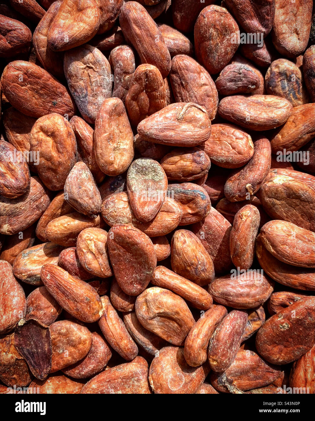 El castillo del schokolade -Fotos und -Bildmaterial in hoher Auflösung ...