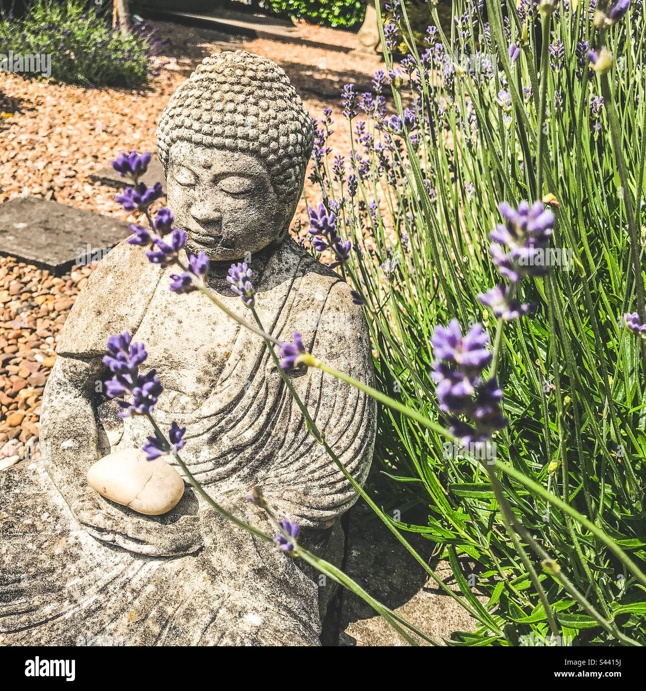 Fabelhafte Buddha Fc3bcr Garten Fotos