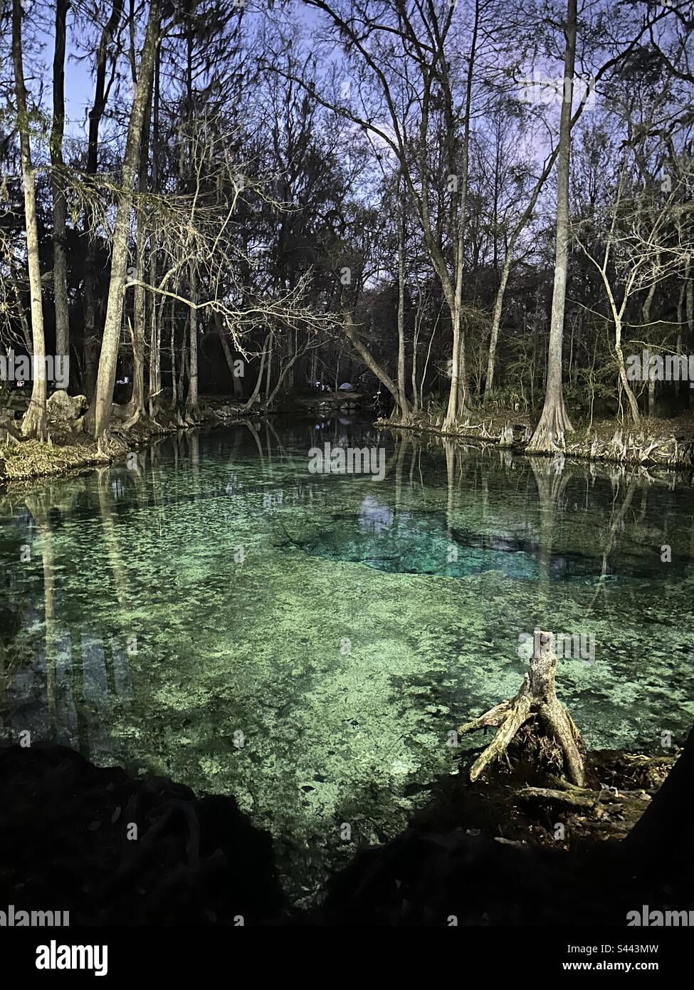 Ginnie springs -Fotos und -Bildmaterial in hoher Auflösung – Alamy