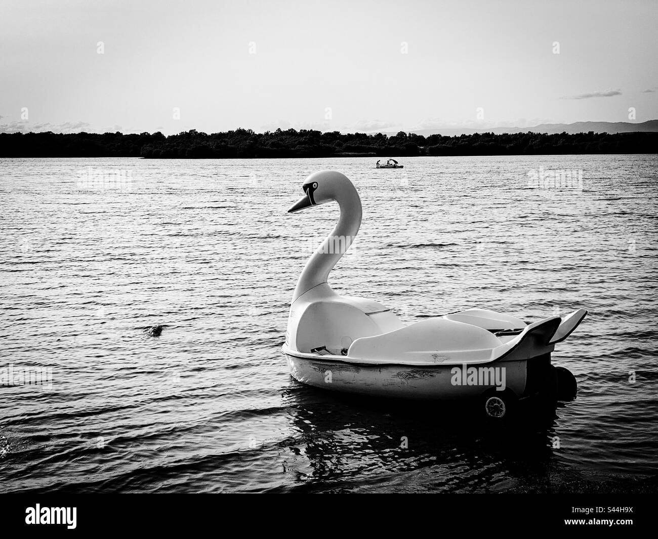 Tretboot schwan Schwarzweiß-Stockfotos und -bilder - Alamy