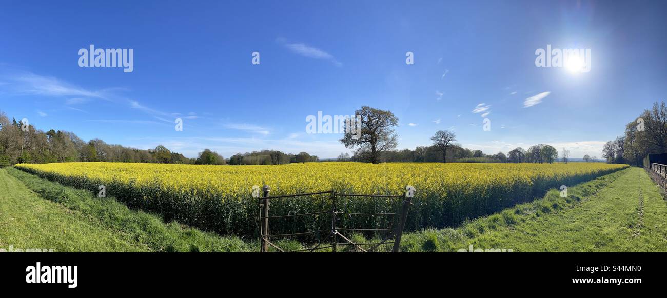 Mittelland landschaft -Fotos und -Bildmaterial in hoher Auflösung – Alamy