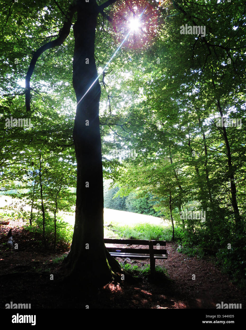Zofingen schweiz -Fotos und -Bildmaterial in hoher Auflösung – Alamy