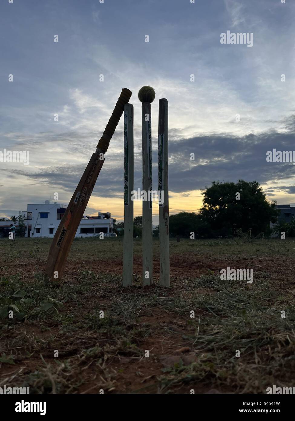 Cricket liebhaber -Fotos und -Bildmaterial in hoher Auflösung – Alamy