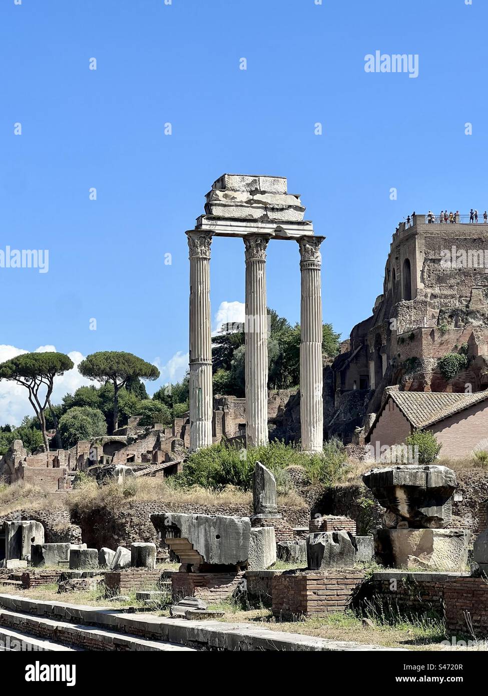 Vespasian tempel -Fotos und -Bildmaterial in hoher Auflösung – Alamy