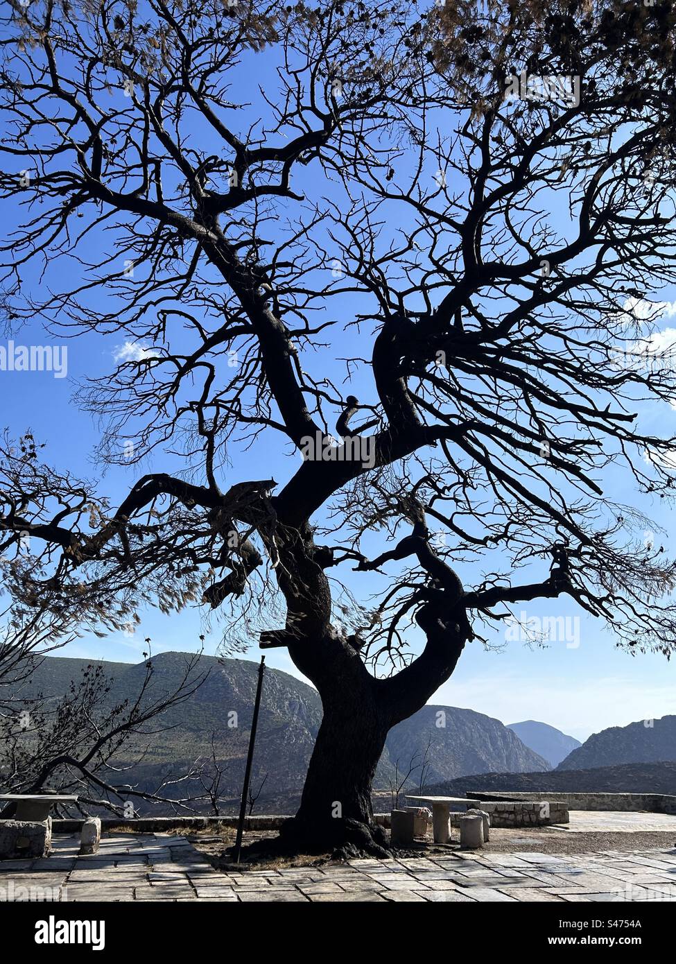 Natur verbrennen -Fotos und -Bildmaterial in hoher Auflösung – Alamy