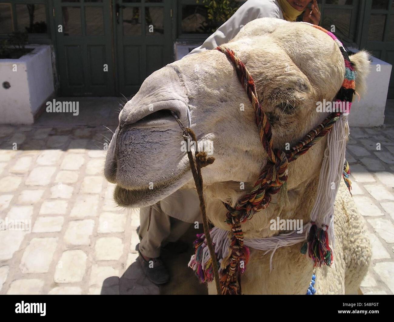 Ausschau halten -Fotos und -Bildmaterial in hoher Auflösung – Alamy