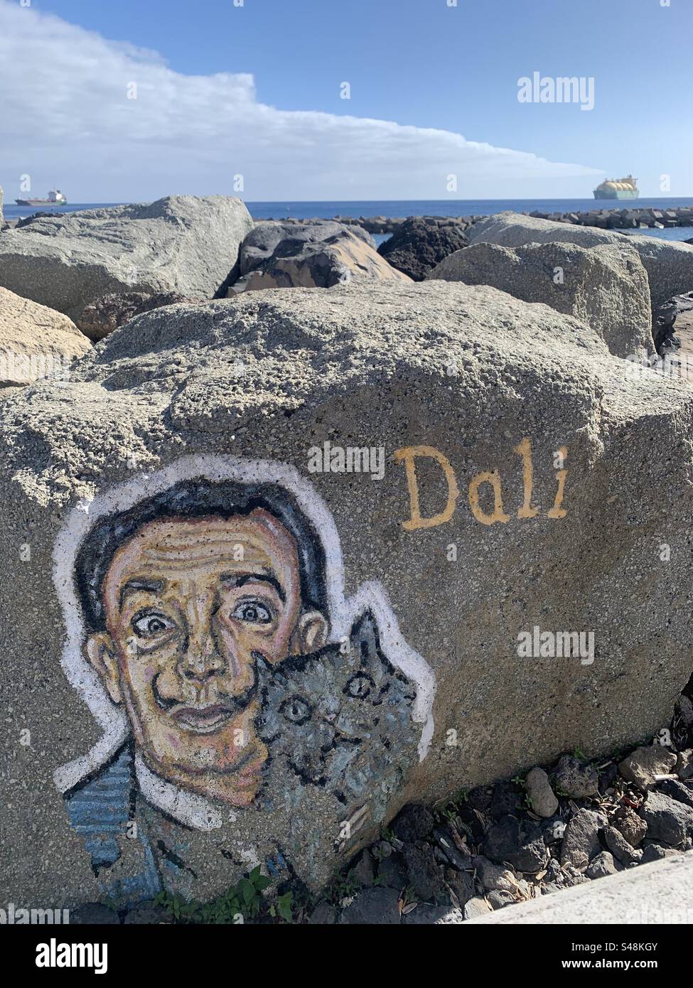 A painting by salvador dali -Fotos und -Bildmaterial in hoher Auflösung – Alamy