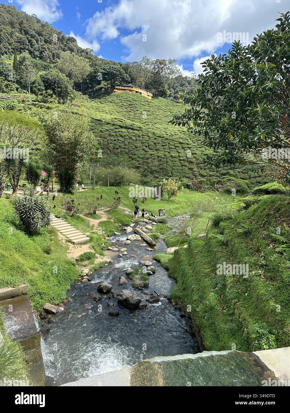 Tee tal -Fotos und -Bildmaterial in hoher Auflösung – Alamy