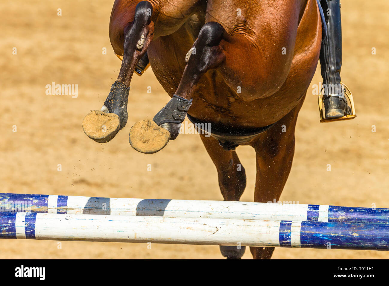Feet horse rider -Fotos und -Bildmaterial in hoher Auflösung – Alamy