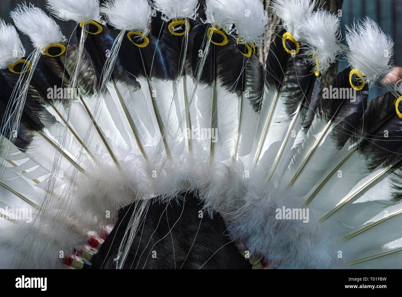 Ritual der first nations -Fotos und -Bildmaterial in hoher Auflösung ...