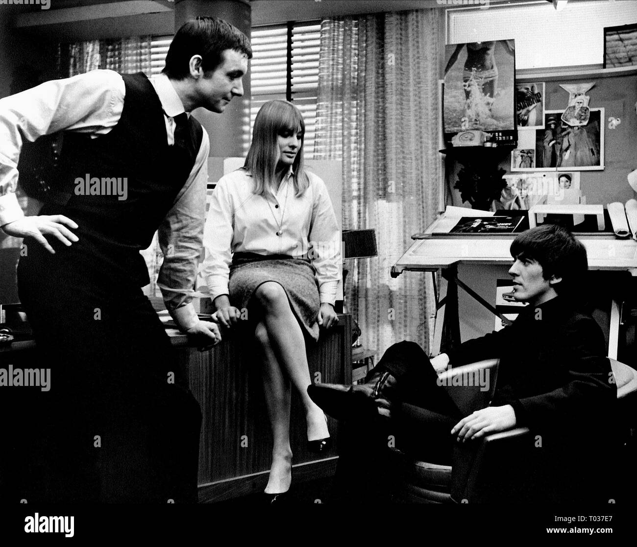 Alison seebohm -Fotos und -Bildmaterial in hoher Auflösung – Alamy