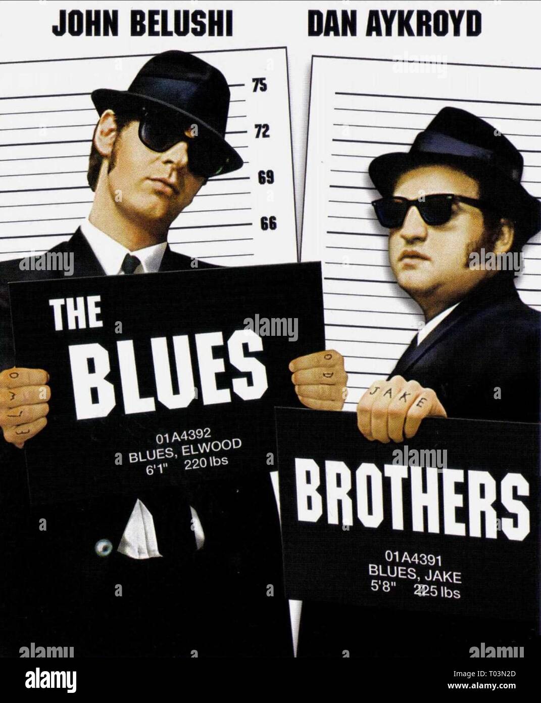 Dan aykroyd john belushi poster -Fotos und -Bildmaterial in hoher ...