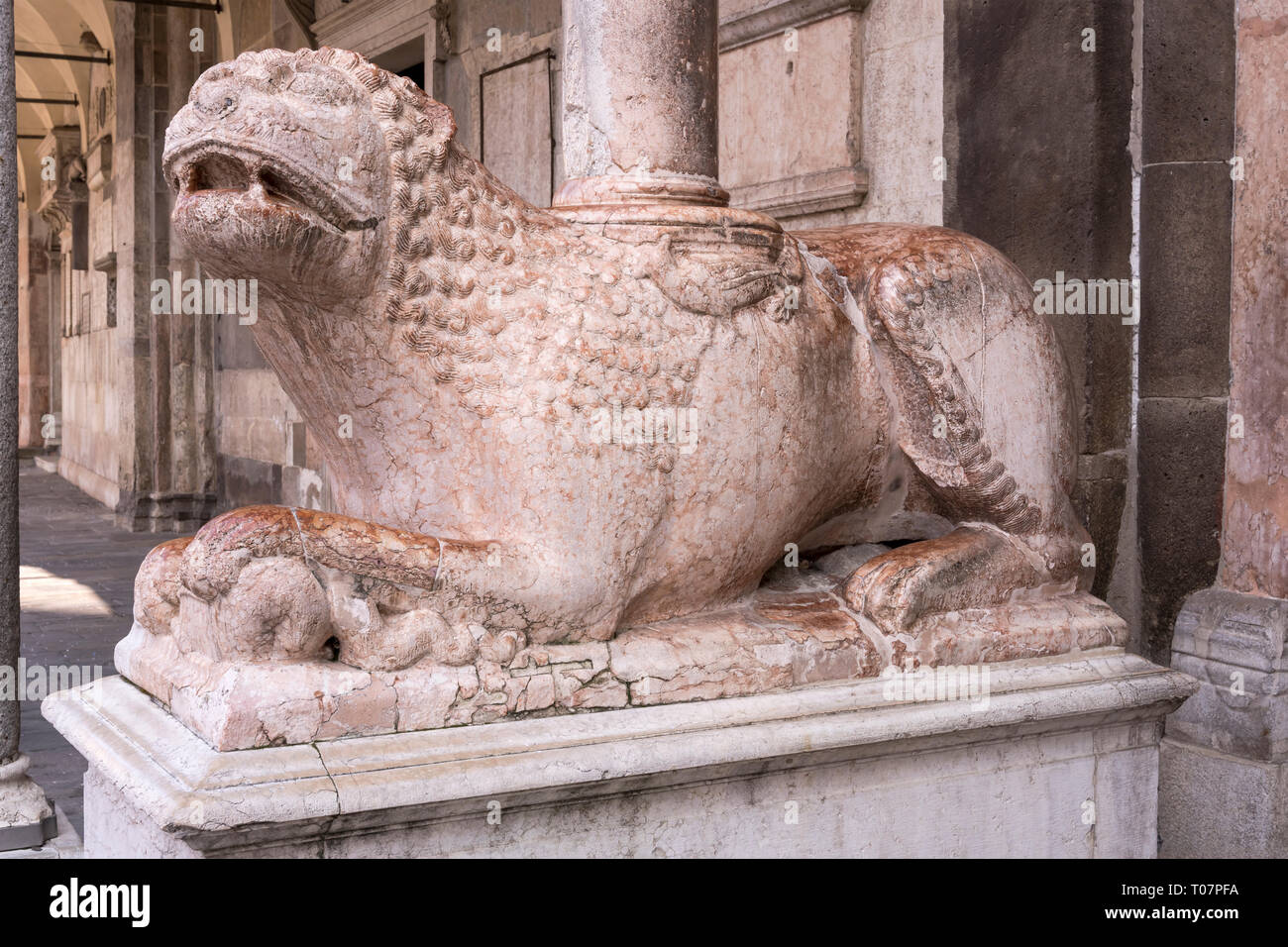 Marble lion statue -Fotos und -Bildmaterial in hoher Auflösung – Alamy