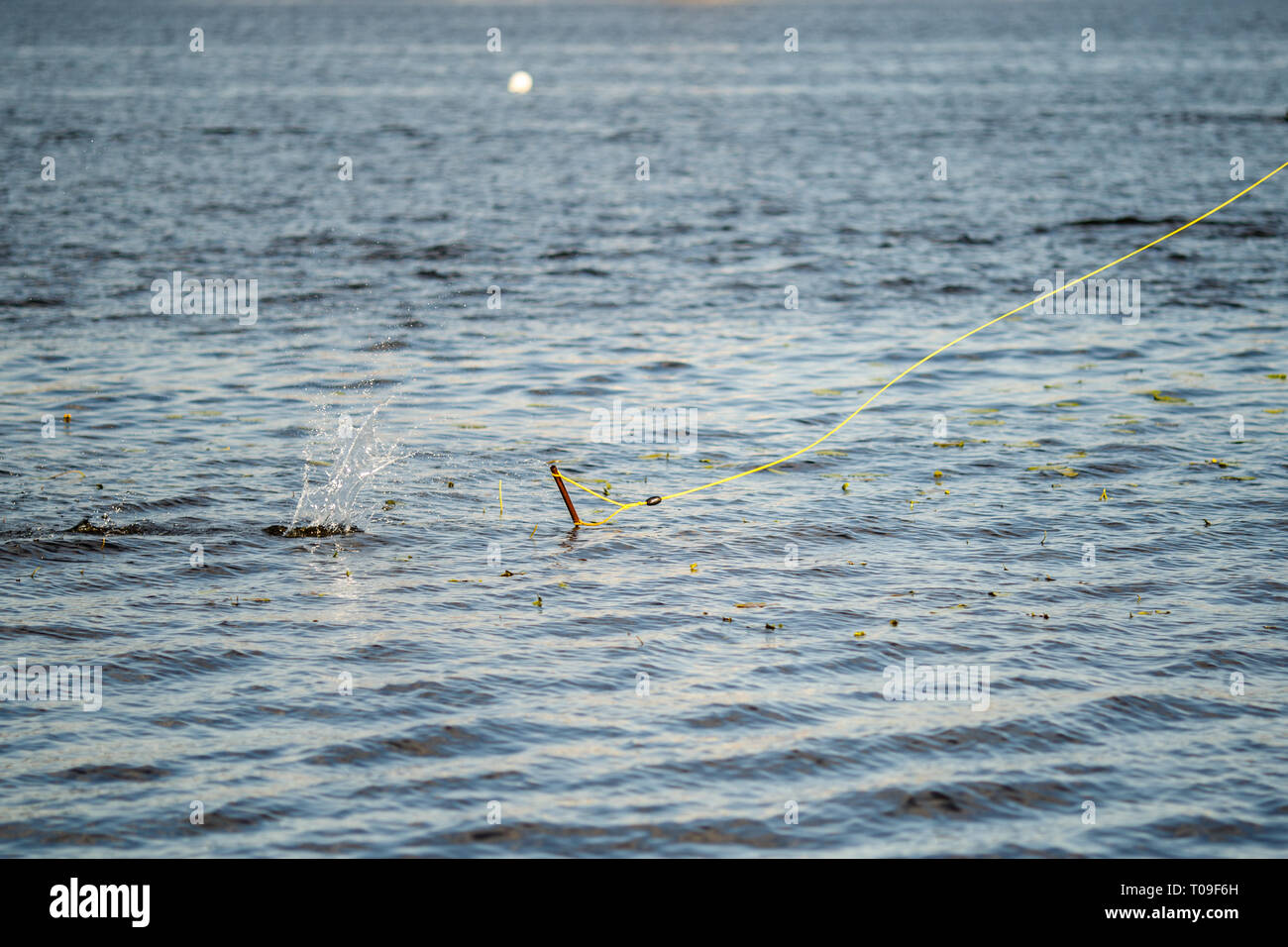 Perfektes poolwasserbild -Fotos und -Bildmaterial in hoher Auflösung ...
