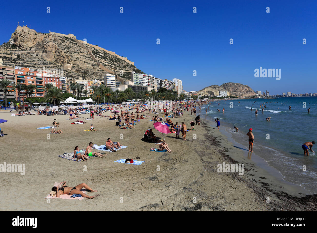 Sonnenanbeter am Strand von Alicante Stadt, die Hauptstadt der Region ...